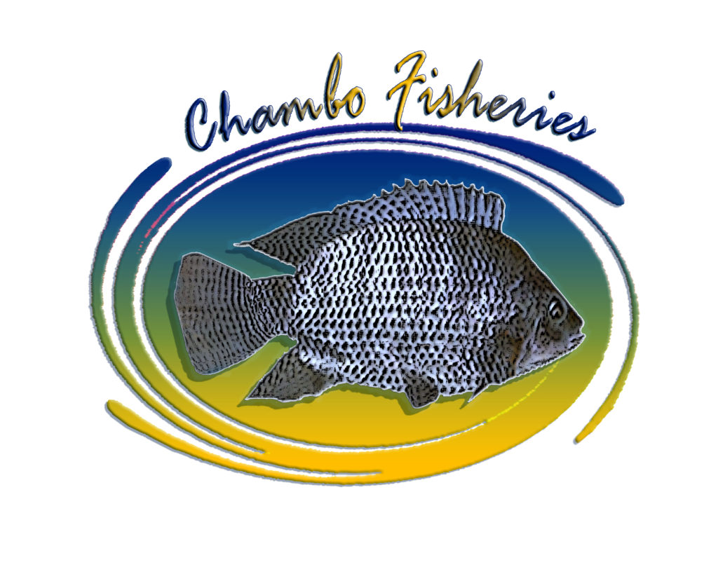 CHAMBO FISHERIES - Malawi's Largest Online Directory & National Search ...