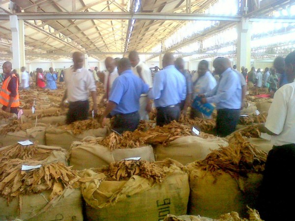 LIMBE LEAF BT FACTORY CLOSED - Malawi's Largest Online Directory ...